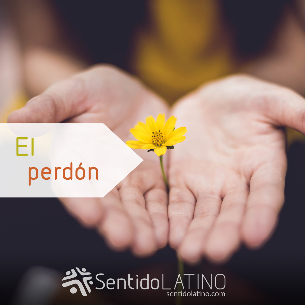 El perdón - Sentido Latino