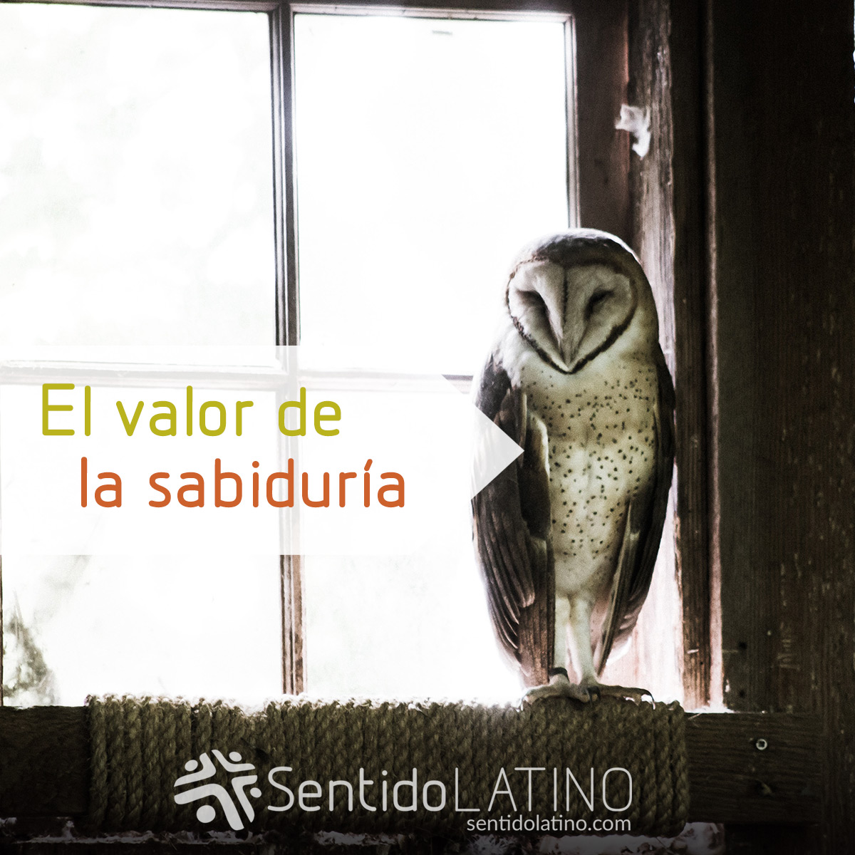 El valor de la sabiduría - Sentido Latino