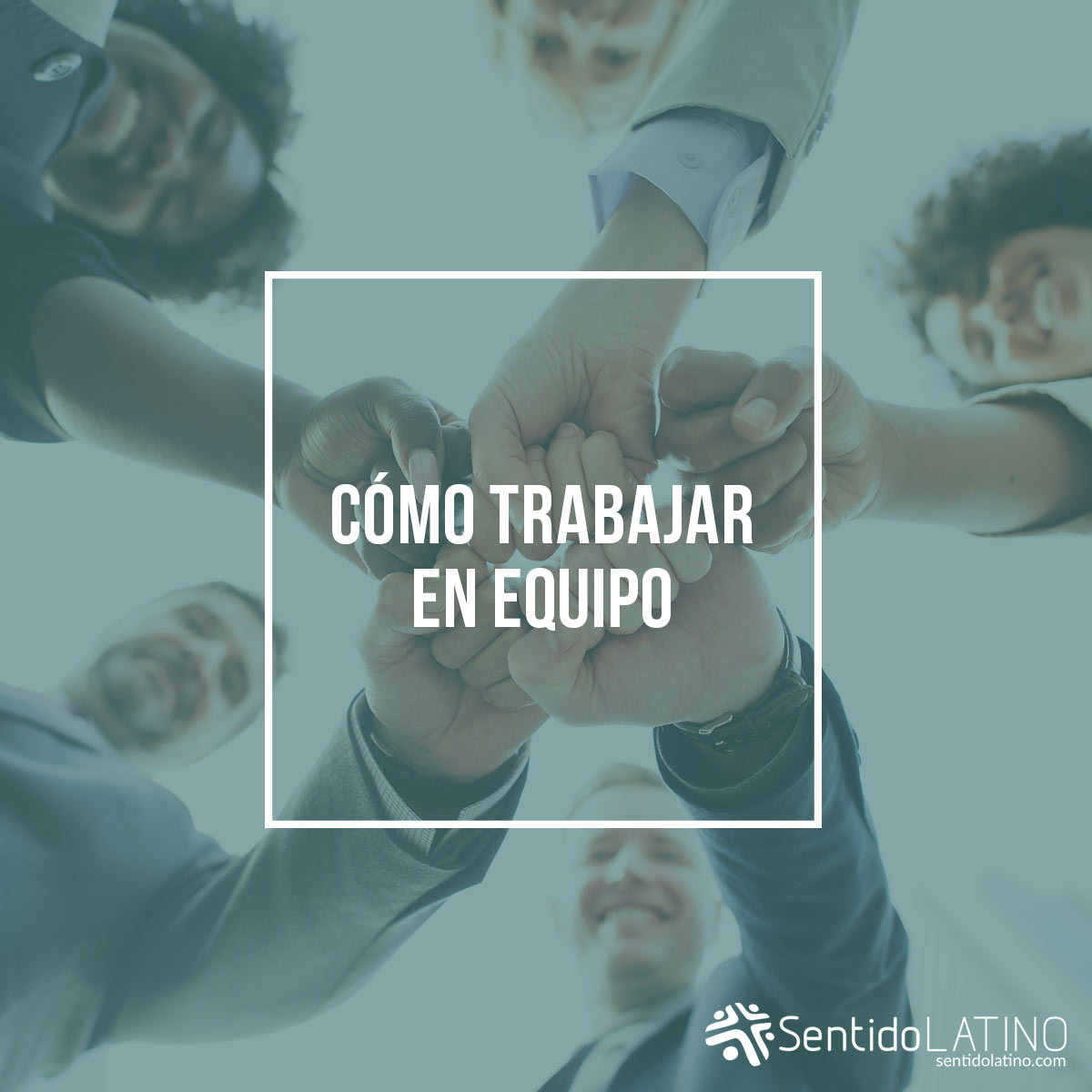 Cómo trabajar en equipo - Sentido Latino